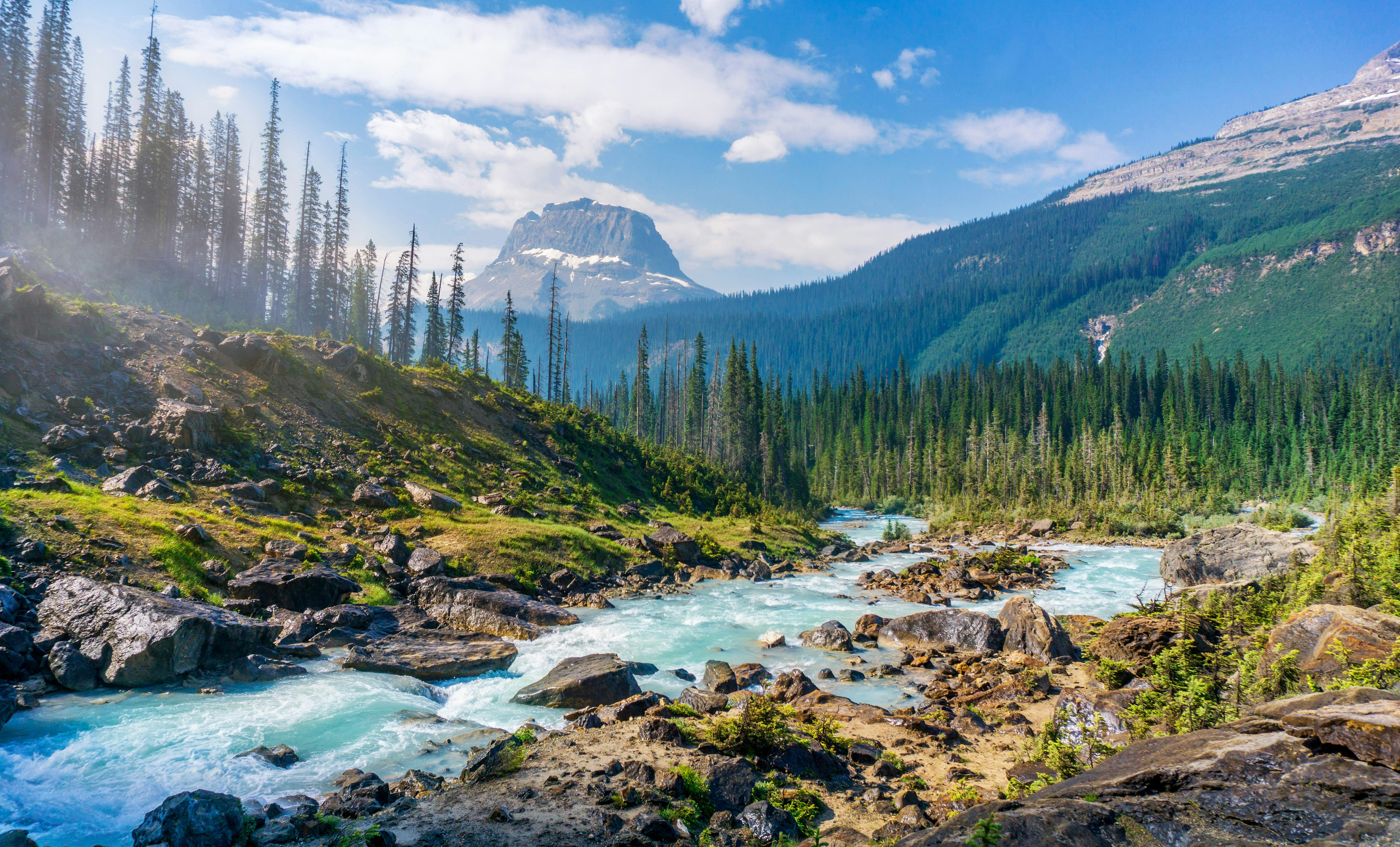 Stilvolle Yoho National Park National Park Fotosnull